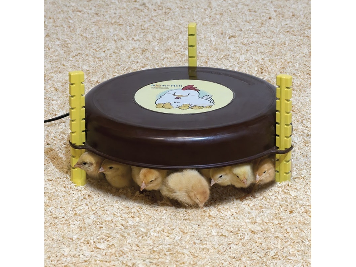 Calefactor Para Pollitos 18w, 220/240v, Medidas 35x20 Cm Suinga | Worten.es
