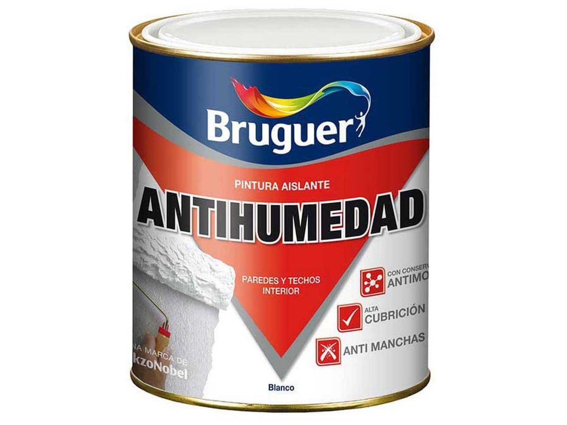 Cuál es la mejor pintura para interiores con humedad - Blog de Worten